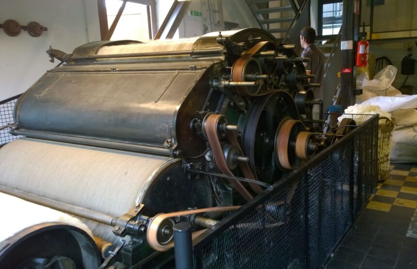 Étapes de transformation de la laine - Coccinelles et compagnie